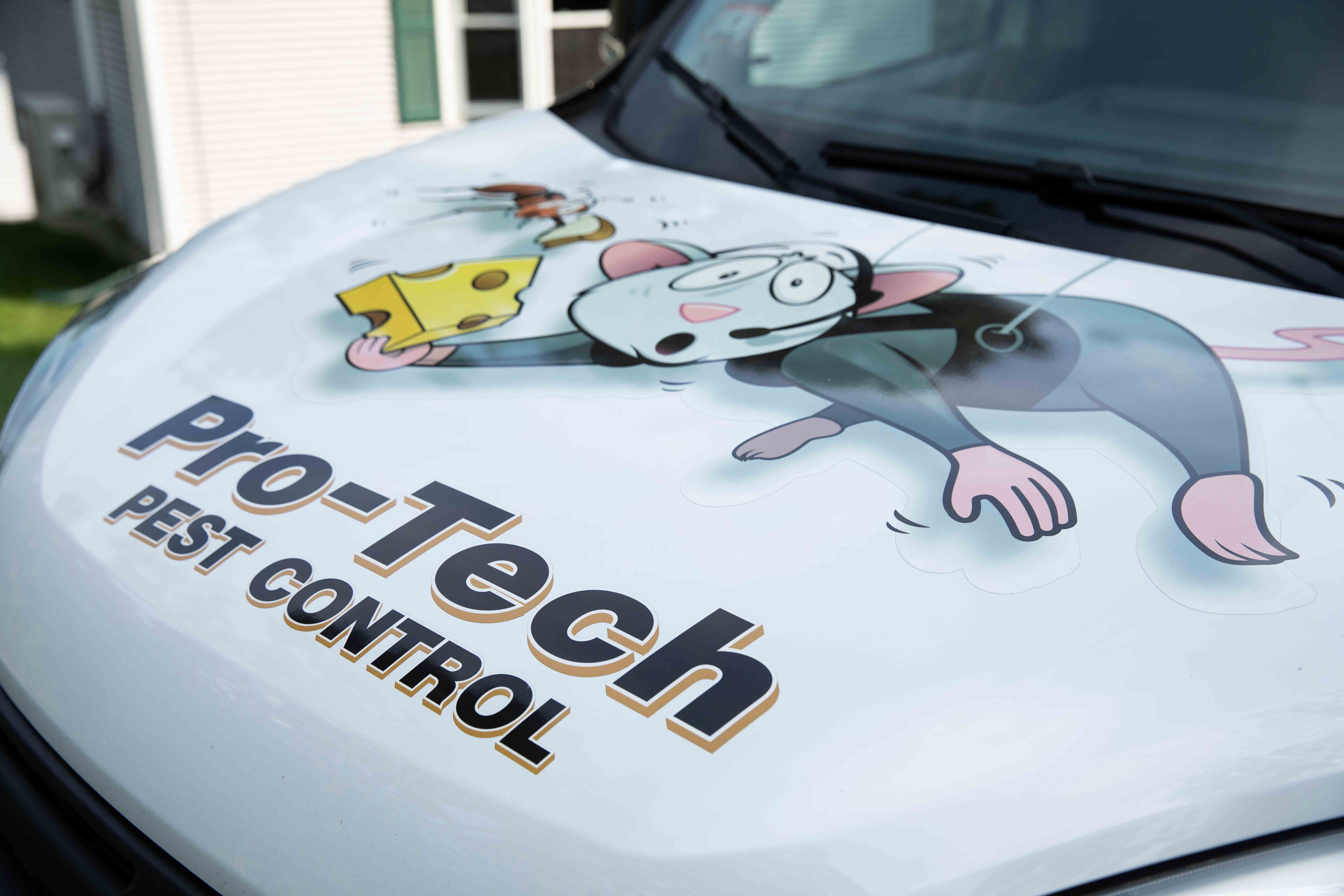 Photo Gallery | Worcester, MA | Pro-Tech Pest Control