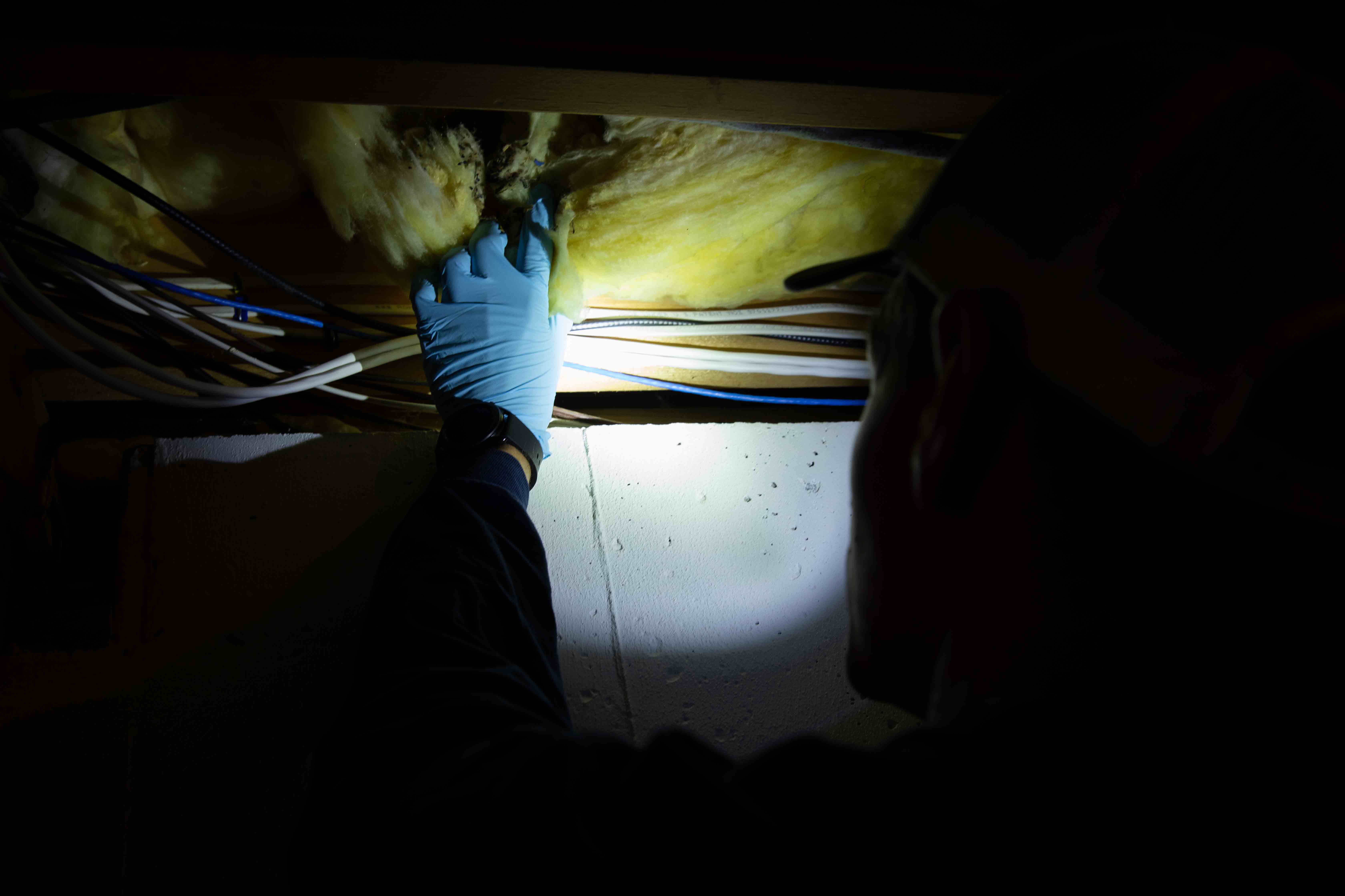 Photo Gallery | Worcester, MA | Pro-Tech Pest Control