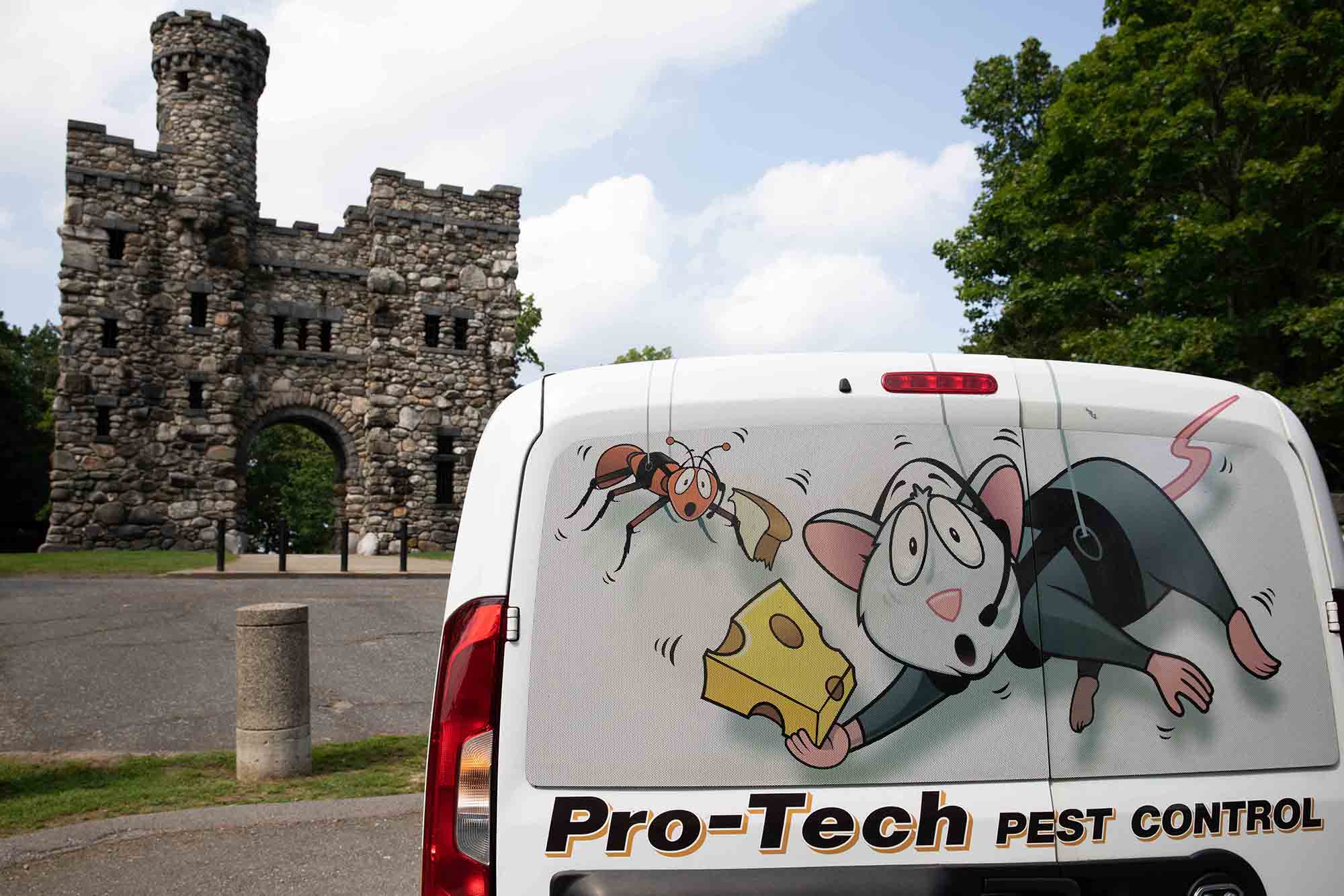 Photo Gallery | Worcester, MA | Pro-Tech Pest Control